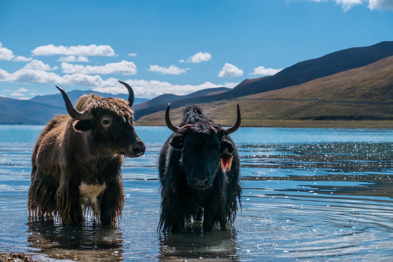 Tibet Tours package Small group: Lhasa, Everest - Experience Tibet